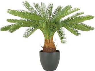 Ligne D&eacute;co Palmier Artificiel Cycas - D&eacute;coratif - &Eacute;l&eacute;gant - Tendance D&eacute;co - Durable - Entretien Facile - Plante Artificielle Int&eacute;rieur - Plastique - 70cm