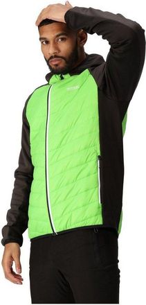 Regatta Steppjacke Softshelljacke Steppjacke Andreson VIII Hybrid