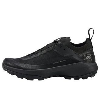 Arc'teryx Vertex Alpine GTX M - Zustiegsschuhe - Herren