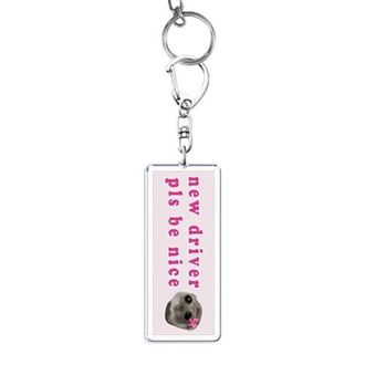 Generic Porte-cl&eacute;s hamster mignon - Adorable pendentif animal, accessoire de porte-cl&eacute;s multifonction, breloque d&eacute;corative l&eacute;g&egrave;re, anneau en m&eacute;tal, design cad