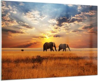 Arttor Bilder auf Glas 100x70cm Glasbild Elefanten Safari Dschungel Busch Groß Wanddeko Bild im Glas Schlafzimmer Küche Deko Wandbilder Dekoration Wohnzimmer