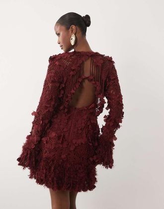 Asos 3D-Blumen-Minikleid mit Broderie und Faux-Feather-Besatz in Burgunderrot