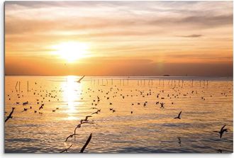 Paul Sinus Art Landschaftsfotografie M&ouml;wen am Meer bei Sonnenuntergang auf Leinwand exklusives Wandbild moderne W&auml;hle Deine Gr&ouml;&szlig;e 120x80cm