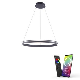 Paul Neuhaus Q-VITO 8412-13 LED Pendelleuchte, Alexa kompatibel Smart Home, dimmbar per Fernbedienung, warmweiß - kaltweiss, Ringform anthrazit