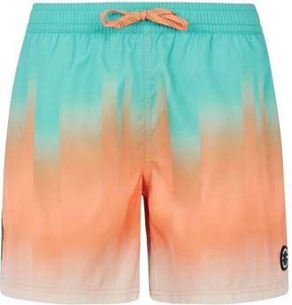 Protest Herren Badeshorts PRTBowery