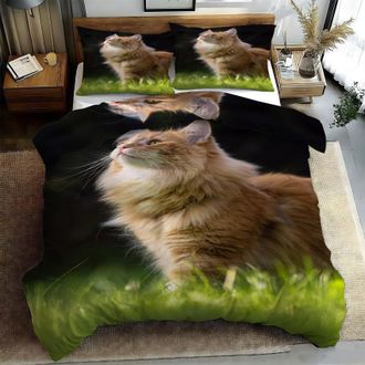 Generic Bettw&auml;sche 200x220 Minimalistisch Bettbezug 200x220 Katze Bettbezug mit 2 Kissenbez&uuml;ge 80x80cm, Bettw&auml;sche-Sets Microfaser mit Rei&szlig;verschluss b23