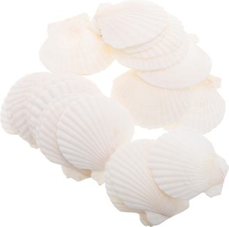 Artibetter TOYANDONA 21 Stück Teiliges Muschel Natürliche Weiße Scallop Muscheln für Aquarium DIY Basteln Stranddeko Unterwasserlandschaft Vielseitige Wohnraumge