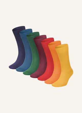 DillySocks Dillysocks 7er-Pack Socken Ribbed Rainbow Collection blau