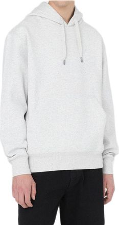 Dickies HERREN SUMMERDALE HOODIE GRAU