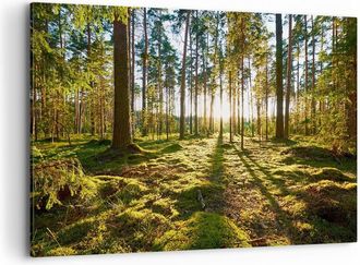 Arttor Bilder auf Leinwand 100x70cm Leinwandbild mit Rahmen Wald Baum Natur Gro&szlig; Wanddeko Bild Schlafzimmer K&uuml;che Deko Wandbilder Dekoration Wohnzimmer Wall 
