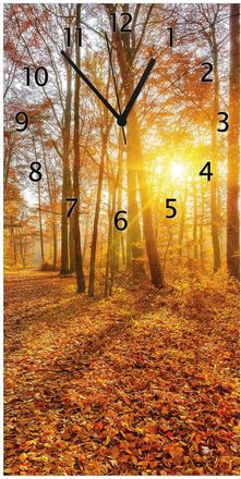 Wallario Design-Wanduhr Sonnenuntergang im herbstlichen Wald aus Glas, Motiv-Uhr Größe 30 x 60 cm, Schwarze Zeiger