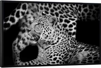 artboxONE Poster mit schwarzem Rahmen 60x40 cm Tiere Leopard digital-Art - Bild Leopard Leopard