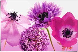 Reinders Poster, Lila Sommer, Schlafzimmer, Poster, Wanddeko, Room Decor, 150 gr. gl&auml;nzend Bilderdruckpapier, Lila, 61 x 91,5cm