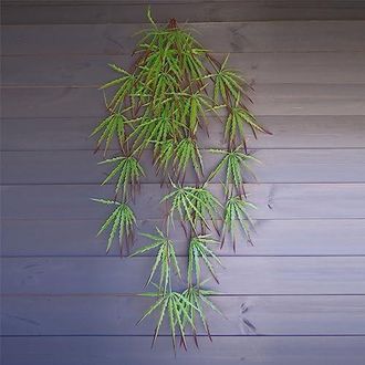 Leaf 100 cm künstliche hängende Acer Spinne Pflanze