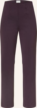 Seductive Seductive Hose Cindessa rot