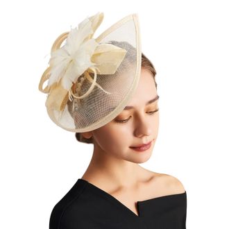 Dreshow Fascinator H&uuml;te f&uuml;r Damen Pillbox Hut mit Schleier Stirnband und Einer Gegabelten Clip Tea Party Kopfbedeckung