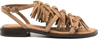 Ash Ash, Femme, Chaussures, Brun, Taille: 40 EU Panic Low Sandales