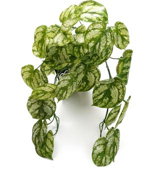 Leaf Design Künstliche Hängepflanzen