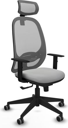 Piqueras y Crespo Stuhl mit Lendenwirbel- und Nackenst&uuml;tze mit 1D-Armlehnen und h&ouml;henverstellbarem Kopfteil, ausgestattet mit 3 Positionen und Schneidschaum, Grau/Hellg