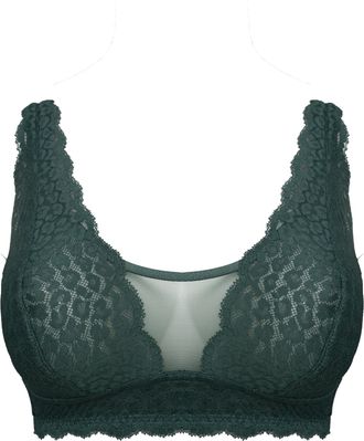SugarShape BH Elva