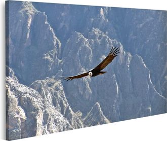 Islandburner Bild auf Leinwand Kondor Bilder Wandbilder Poster INNB-1K