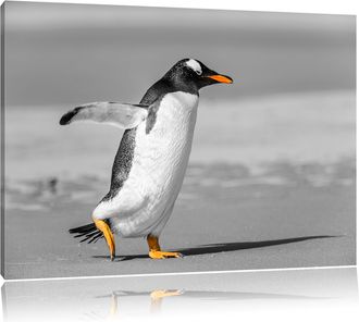 Pixxprint watschelnder Pinguin am Strand B&W, Größe: 100x70cm, Leinwandbild, fertig gespannt, Wandbild, Dekoration, Kunstdruck, kein Poster