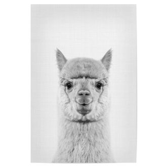 artboxONE Poster 60x40 cm Alpaca Portrait von K&uuml;nstler Vivid Atelier