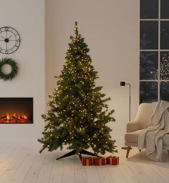 Dmora Weihnachtsbaum 150 cm Plaine, K&uuml;nstliche Kiefer, Realistischer Baum, Tannenbaum, Made in Italy, 100x100 h150 cm, Gr&uuml;n