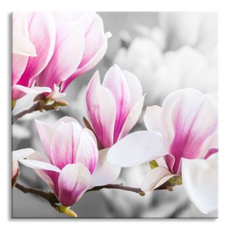Pixxprint Glasbild, Wandbild auf Echtglas, feine rosa farbende Bl&uuml;te, 50x50 cm, inkl. Aufh&auml;ngung und Abstandshalter