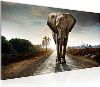 Runa Art Tableau Decoration Murale Afrique &Eacute;l&eacute;phant 1 Partie Moderne Toile non tiss&eacute;e Salon Salle Animaux Marron 042612a