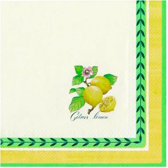 Villeroy & Boch IHR L 452500 Servietten 33x33cm French Garden