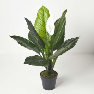 Homescapes gro&szlig;e k&uuml;nstliche Friedenslilie im Topf, Kunstpflanze Spathiphyllum Wallisii mit wei&szlig;en Bl&uuml;ten, Scheidenblatt, k&uuml;nstliche Tropische Pflanze f&uuml;r den Ind