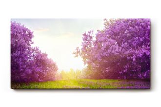 Paul Sinus Art Sinus Art Wandbild 100x50cm Zauberhafte Lavendellandschaft mit Lichtspiel und blühenden Büschen