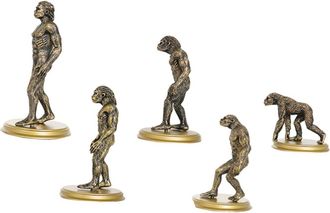 PartyKindom 5 Stück Evolutionsmodell Aus Kunststoff Biologisches Lernspielzeug Für Kinder Kreatives Primitives Menschheitsmodell in Dunkelgold Für Schule Und Kind