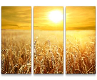 Paul Sinus Art Leinwandbilder | Bilder Leinwand 130x90cm Sonnenuntergang &uuml;ber reifenden Weizenfeld