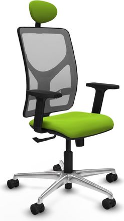 Piqueras y Crespo B&uuml;rostuhl mit 2D-Armlehnen, h&ouml;henverstellbare Lendenwirbelst&uuml;tze und festes Kopfteil, ausgestattet mit 3 Positionen und Schneidschaum, Grau/Pistazie