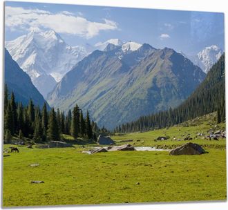 Wallario Herdabdeckplatte/Spritzschutz aus Glas, 1-teilig, 60x52cm, für Ceran- und Induktionsherde, Gebirgspanorama Himmelsgebirge