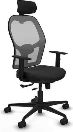 Piqueras y Crespo Jorquera Stuhl mit 1D-Armen, h&ouml;henverstellbarer Lendenwirbelst&uuml;tze und h&ouml;henverstellbarem Kopfteil, h&ouml;henverstellbar und neigbar. Ausgestattet mit Syn