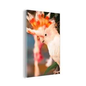 MuchoWow Glasbild Glasfoto Wandbild Bilder Deko 80x120 cm Ein weißer Kakadu mit einem farbigen Kamm