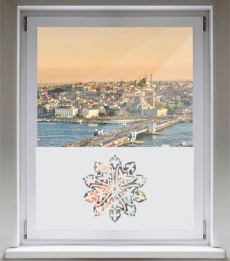 Indigos UG Sichtschutzfolie Glasdekorfolie Fensterfolie mit Motiv satiniert Blickdicht - E1139 Sch&ouml;ne Blume - 800 mm L&auml;nge - 500 mm H&ouml;he - Viereck - selbstkleben