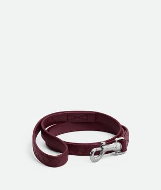Bottega Veneta Laisse Pour Chien Intrecciato Petit Format - Bottega Veneta