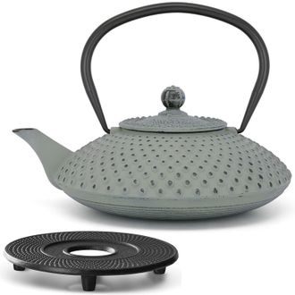 Bredemeijer gr&uuml;ne Teekanne 1.25 Liter Gusseisen - flache Asia Gusskanne Induktion im Set mit Untersetzer & Teefilter-Sieb-Einsatz