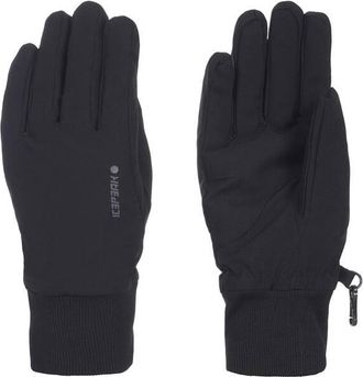 Icepeak Herren Handschuhe HARTWELL