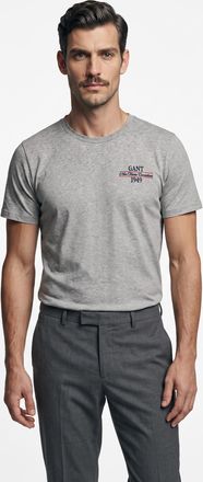GANT T-Shirt GANT GRAPHIC, Herren, Gr. 4XL, grau melange, Jersey, Obermaterial: 100% Baumwolle, normal, Rundhals, Shirts T-Shirt