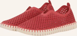 Ilse Jacobsen Ilse Jacobsen Sneaker Low tulip3275 rot