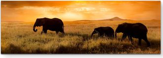 Paul Sinus Art Elefantenfamilie bei Sonnenuntergang - Panoramabild auf Leinwand in 150x50cm