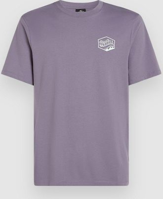 O'Neill Box Logo T-Shirt storm