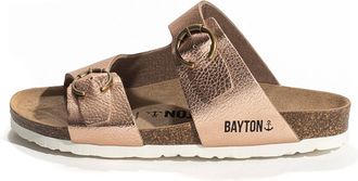 Bayton Mules Ilithyie
