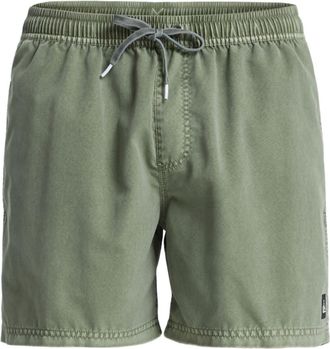 Quiksilver Herren Everyday Surfwash Volley 15 Boardshorts, Traubenblatt, M