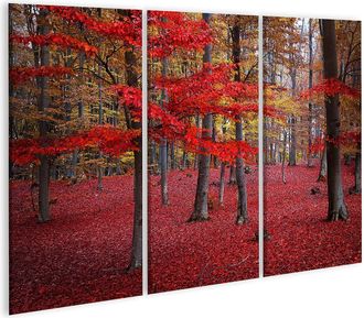 Islandburner Prime Bild auf Leinwand Rote Bäume Wald Herbst Bilder Wandbilder Poster